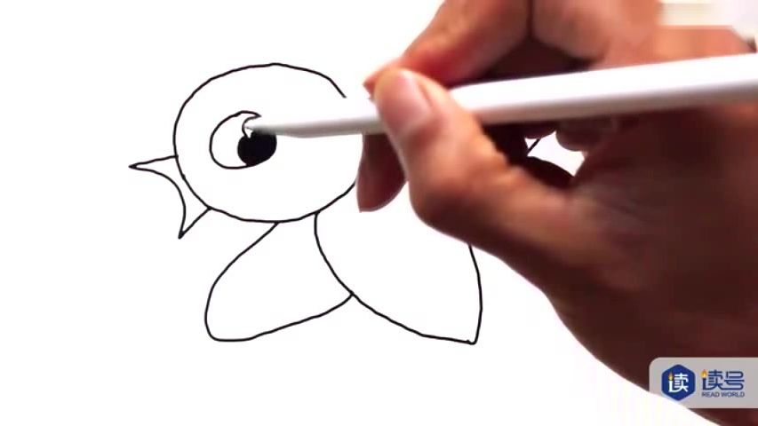 飞翔的小鸟-简单好看易学的早教简笔画,来跟我一起画吧