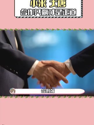 中国公司更应该抱团取暖,合作共赢!#小米