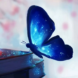 到底投什么视频好 