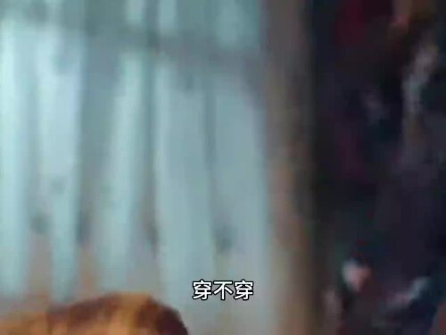 美女主播深陷诈骗园区!揭秘直播背后的黑暗陷阱