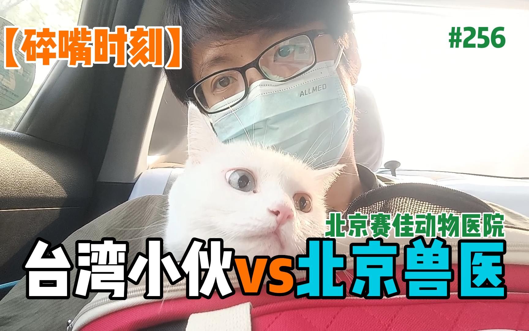 ...赛佳动物医院猫咪看病 医师说了猫咪的情绪很重要 多抚摸【EP256】