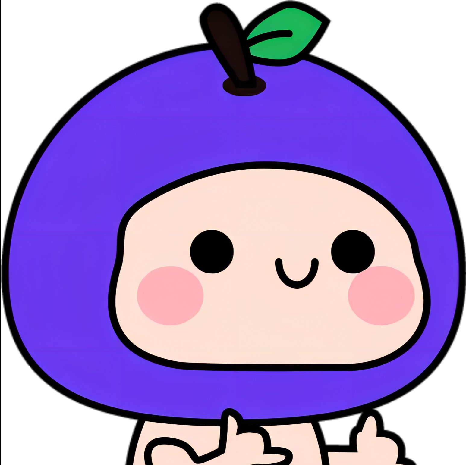 广东数果科技有限公司 