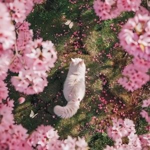 心中有光 