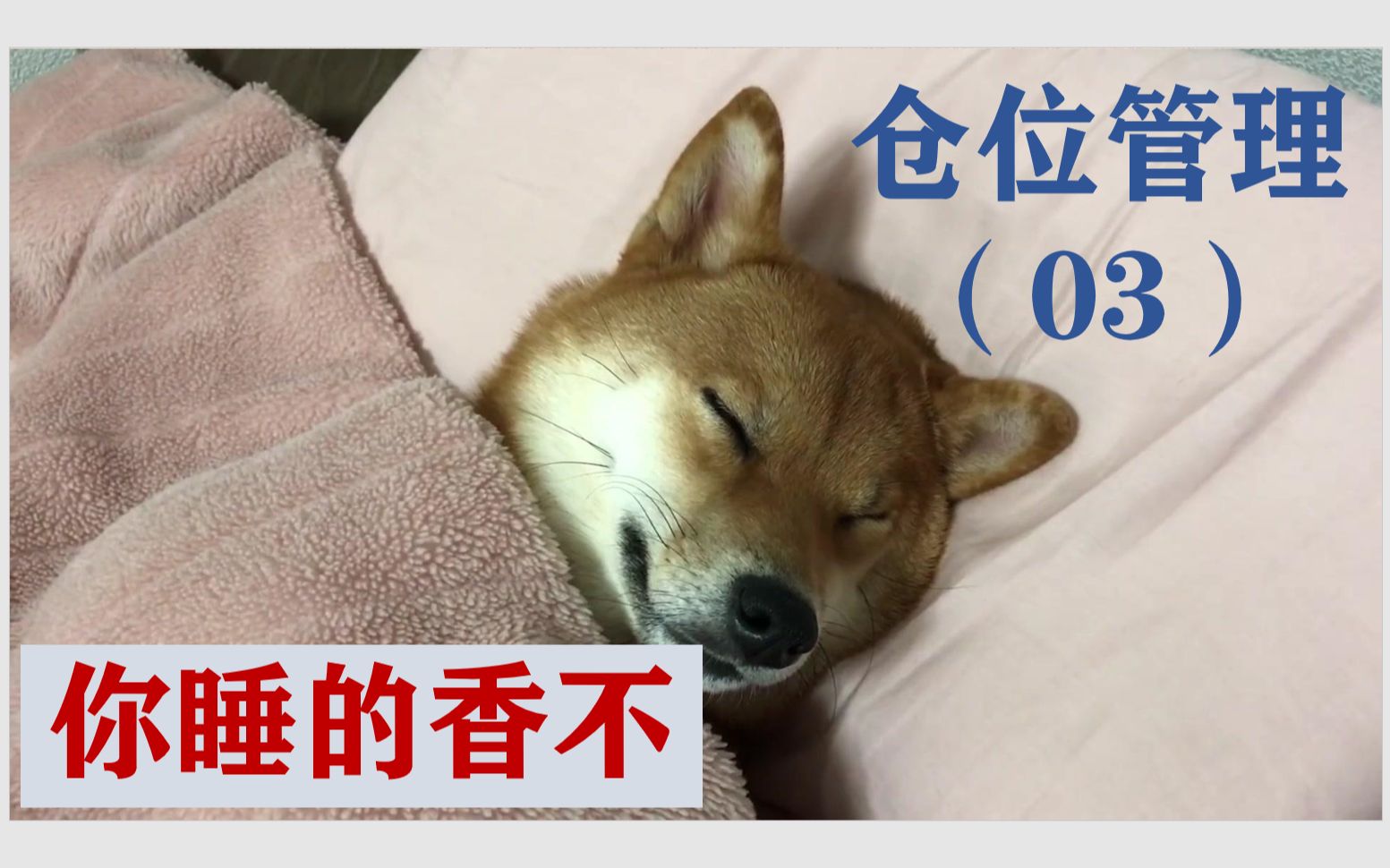 仓位管理(03):能睡得香的仓位是好仓位