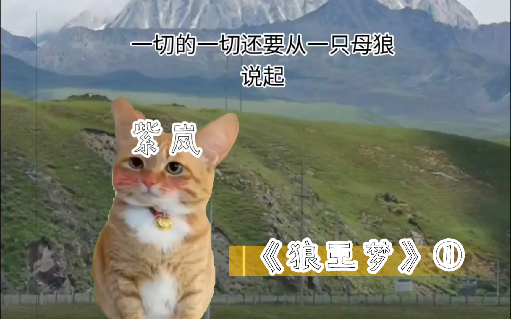 用猫meme讲述童年经典《狼王梦》(第一集)
