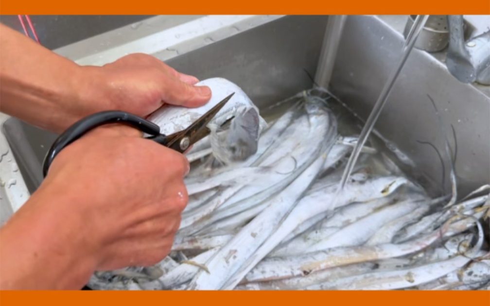 ...吃饭ߍ�#正典系统#正典系统门窗#标准化#工厂食堂#员工餐#炖刀鱼