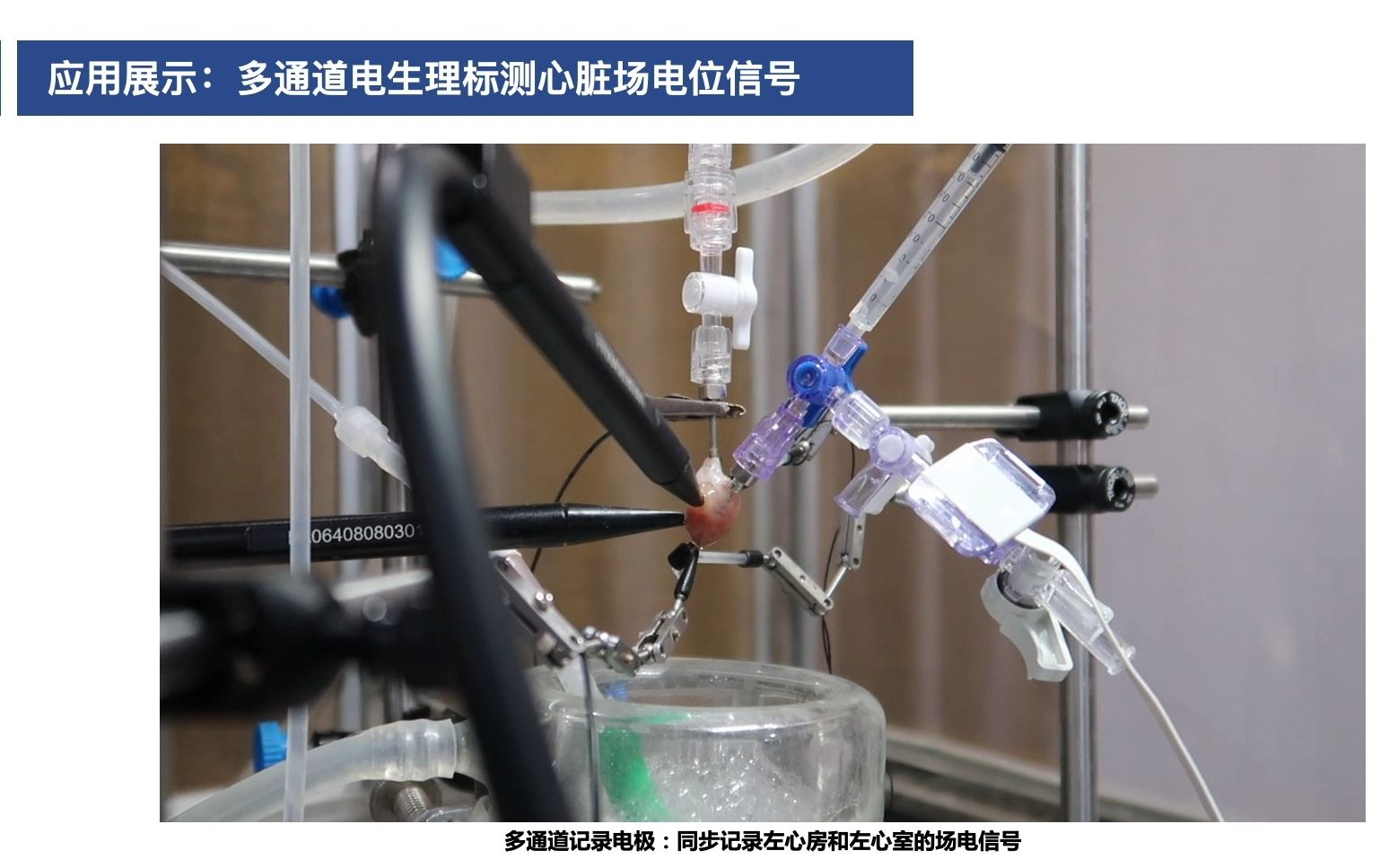 多通道电标测技术(Electrical mapping)部分应用展示