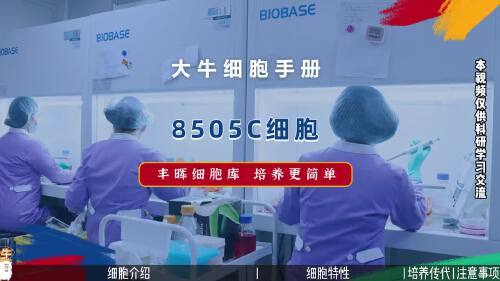 丰晖生物细胞培养库册C人甲状腺未分化癌细胞系