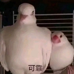 清晨阳光依旧 