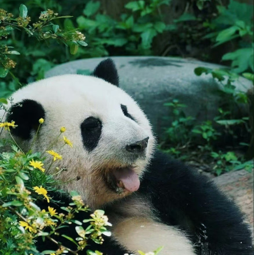 启春 