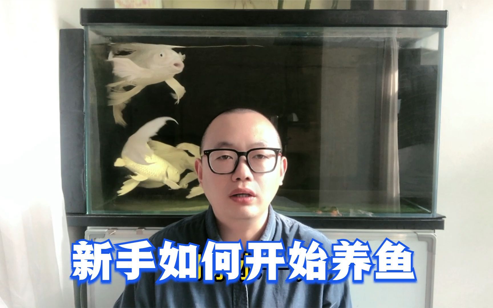 新手如何养鱼?怎么开始?从哪入门?手把手教给您