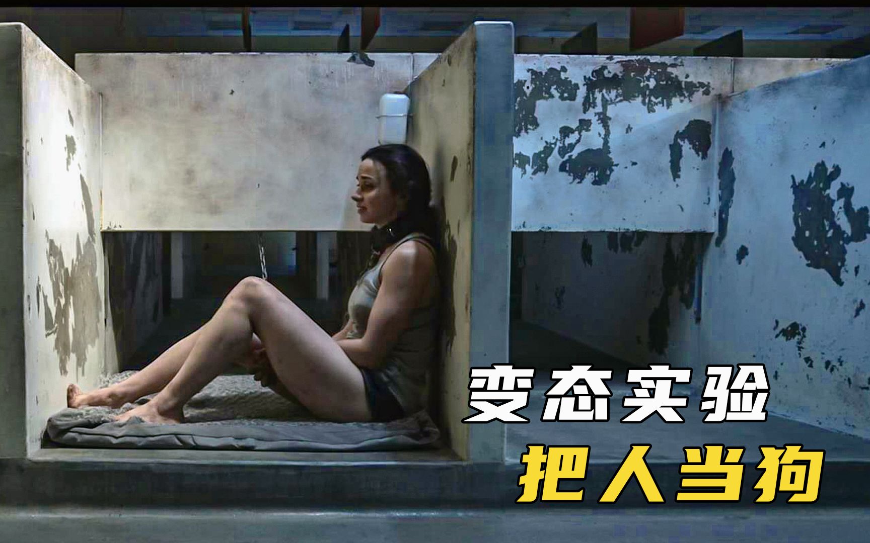 变态人性实验,把人当狗养,惊悚片《好像一条狗》