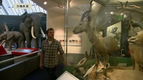 DDT对环境的影响是怎样被发现的?博物馆的鸟蛋收藏功劳不小!