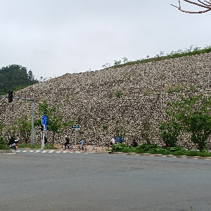 夏咖TO 