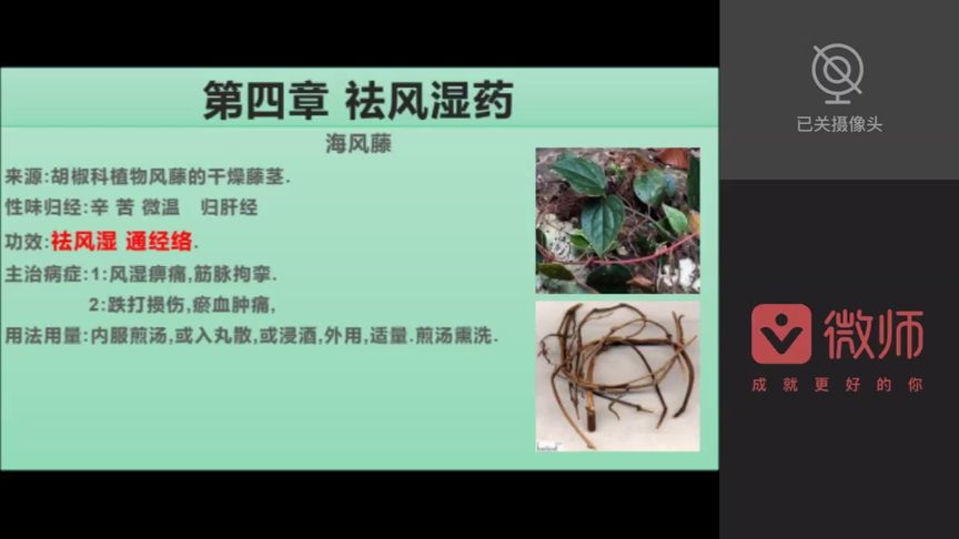执业中药师专业知识二——海风藤