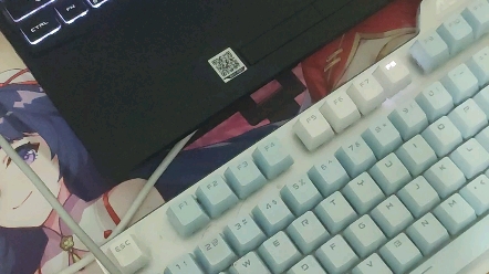 ...我看看这是什么情况,睡眠模式下两个键盘都在闪,怎么弄啊,电脑天选2