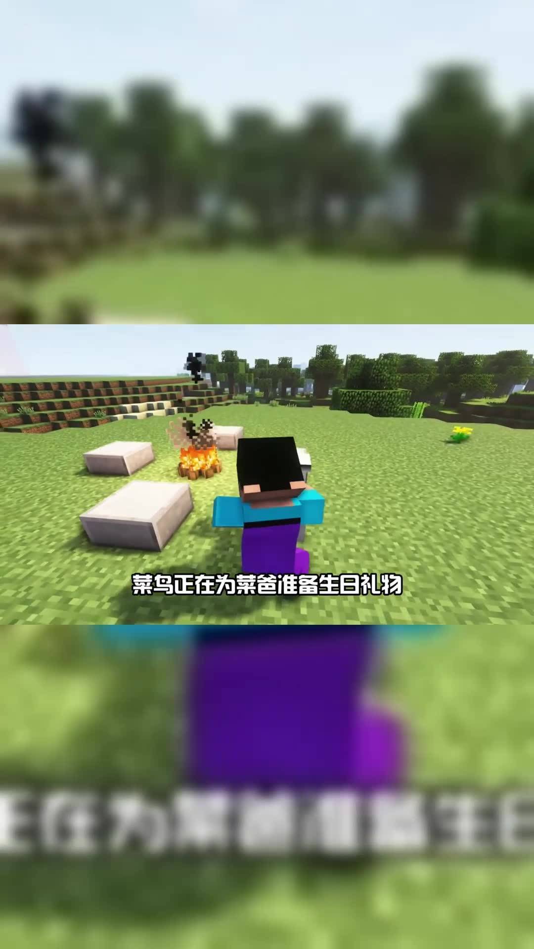 我的世界:最大的组织出现了!