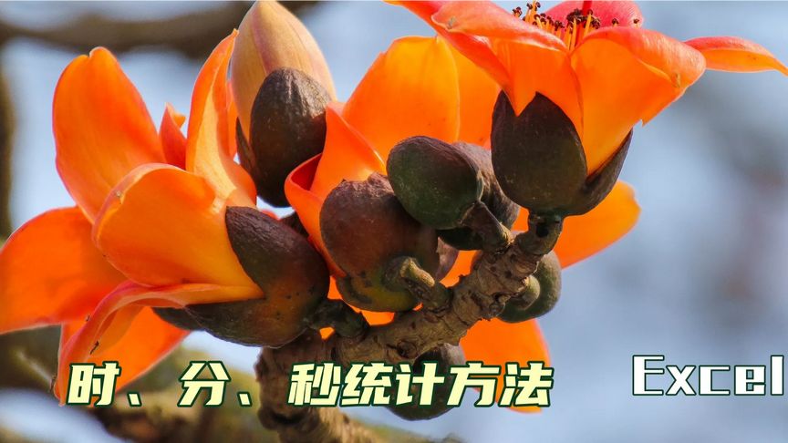 Excel综合应用(15):话费详单中的通信时长(分、秒)统计