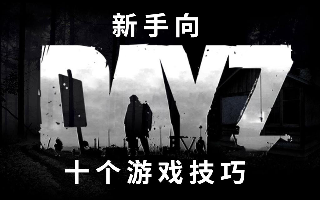 DayZ的十个游戏技巧(新手向)