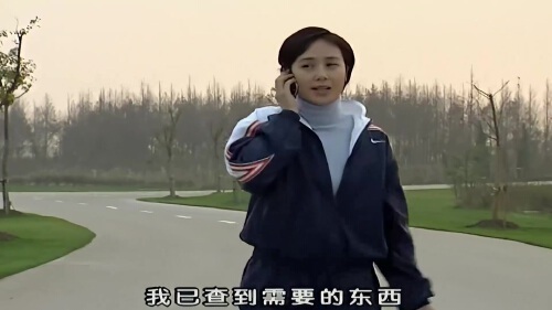 黑冰:美女潜入内地龙头企业,竟伙同黑客,对财务报表下手!
