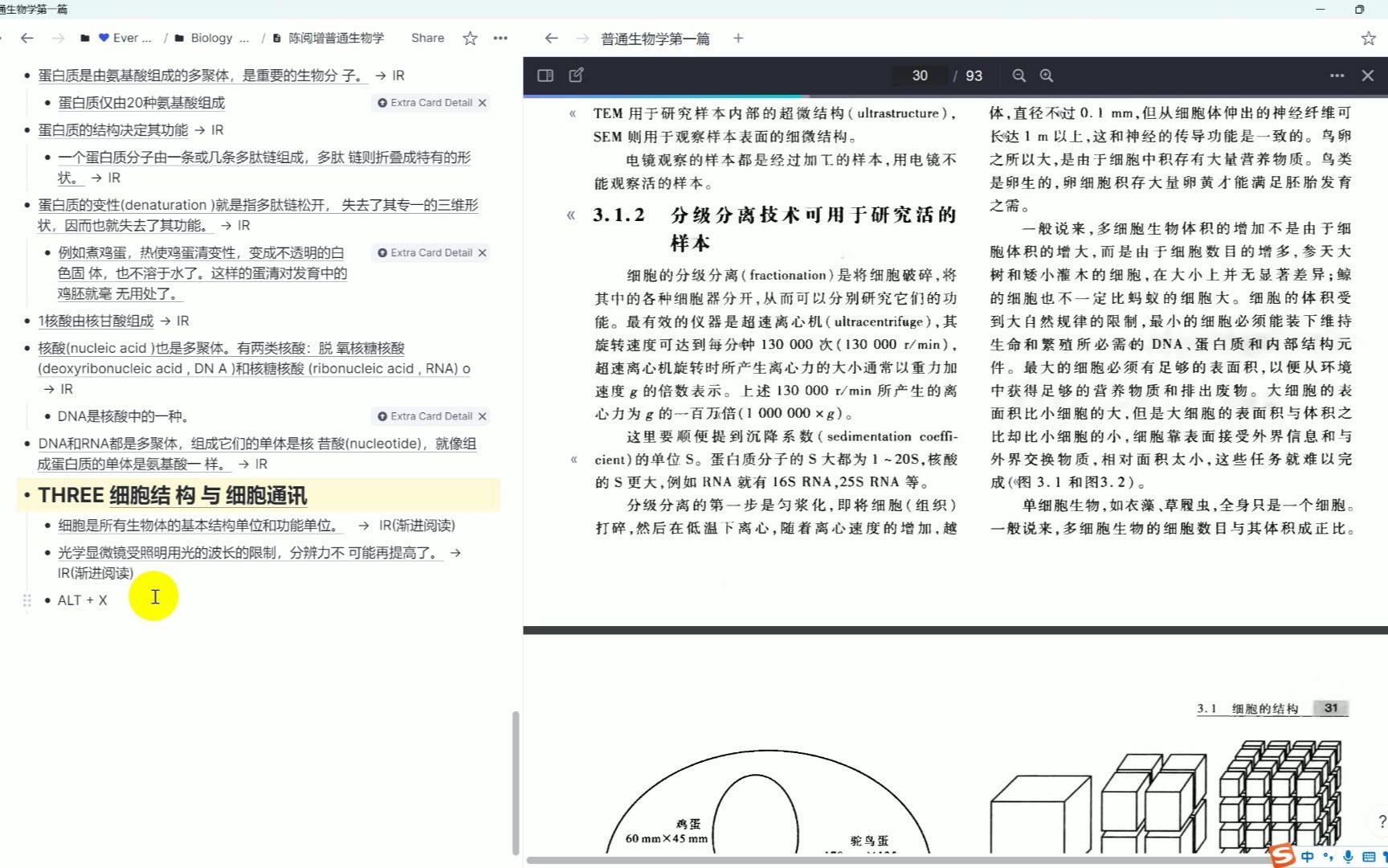 尝试用Remnote使用Supermemo的渐进阅读 - 初尝试