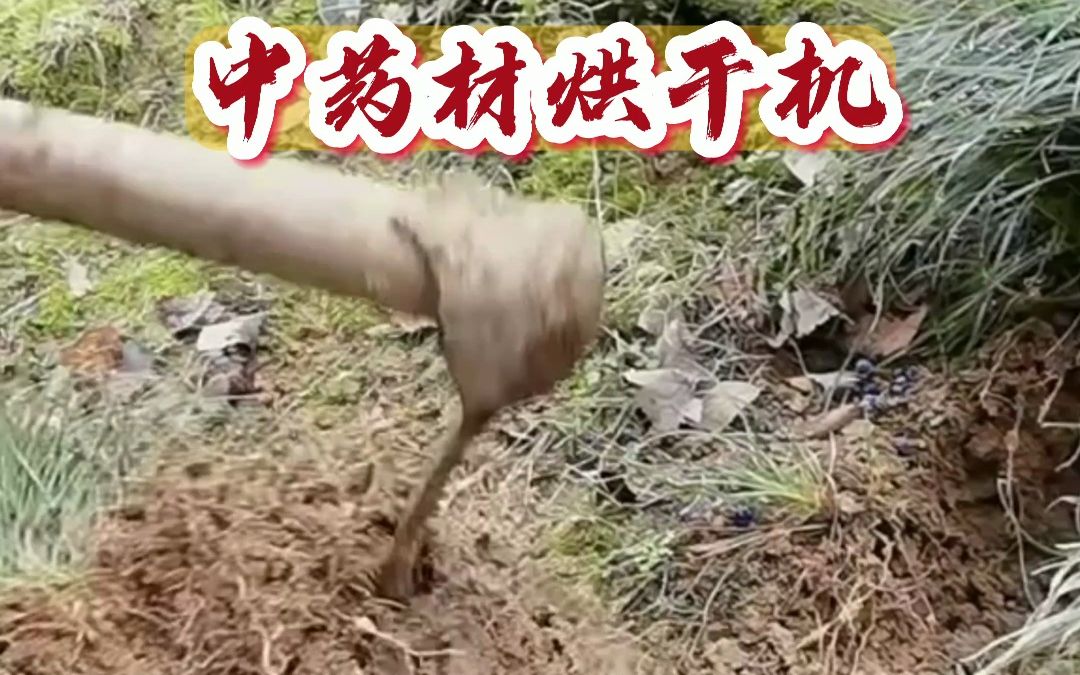 麦冬干燥处理选择中药材多功能烘干机