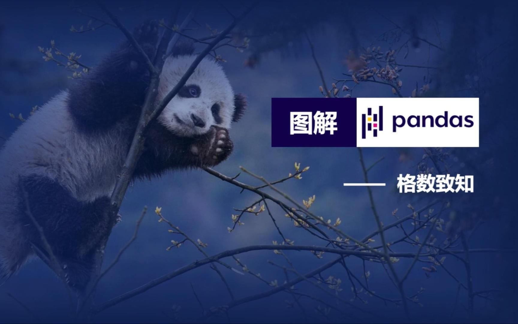 图解Pandas系列-03Pandas条件查询与数据计算