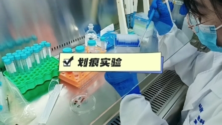 细胞平台常见实验