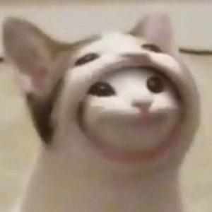 LiZiRan01 