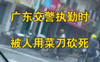 广东交警执勤时被人用菜刀砍死,35岁嫌犯已被抓获
