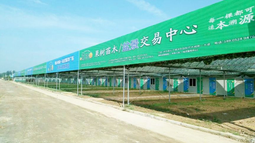 江苏果玩果树苗木销售宣传视频