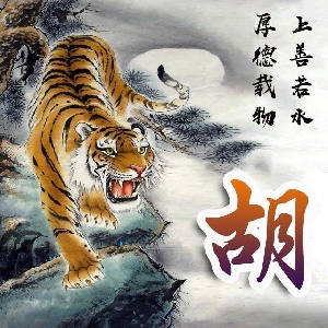 我的世界夜天游 