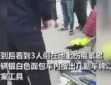 偷狗贼被抓一人被打死2人被打伤,你怎么看?