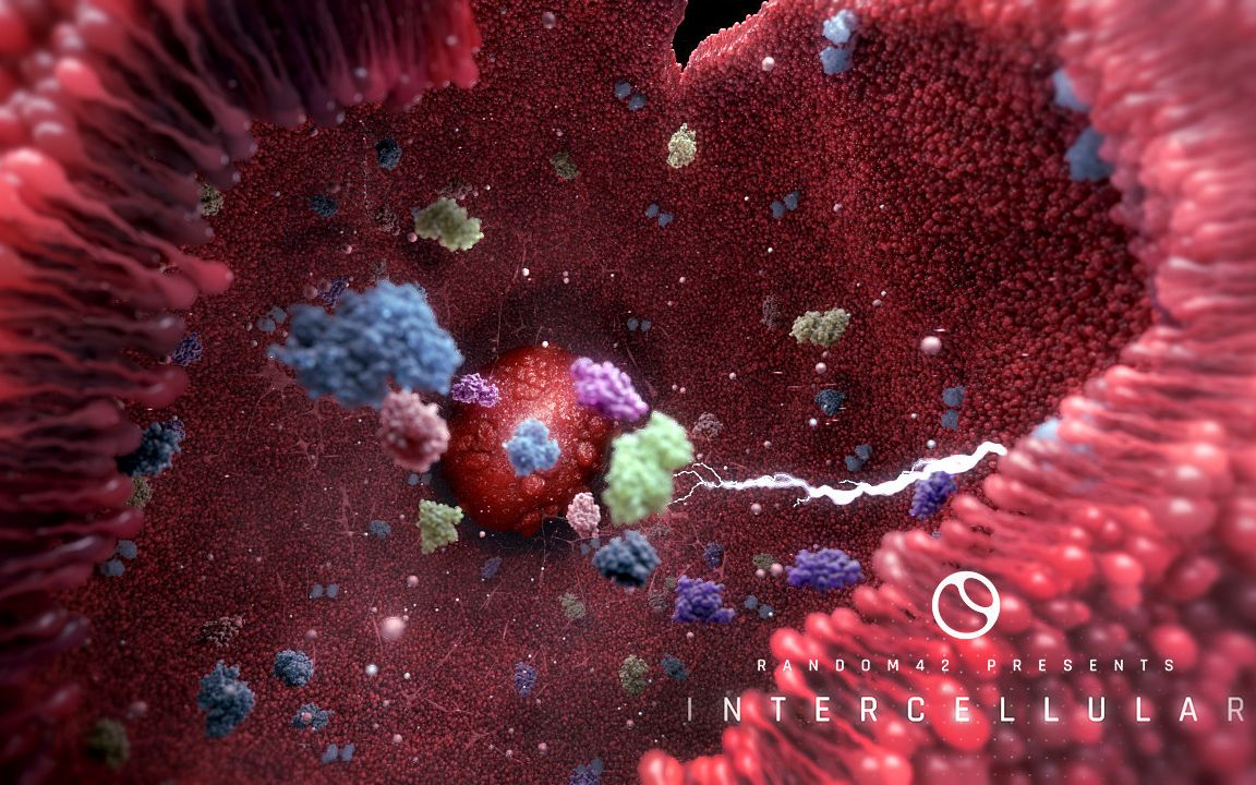 【360°全景VR】人体细胞绝美震撼之旅