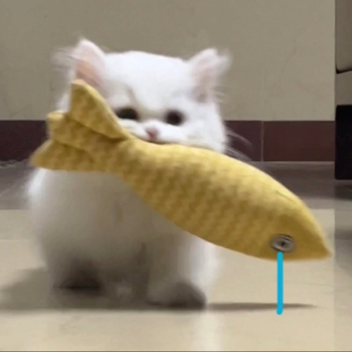 犯困圆子 