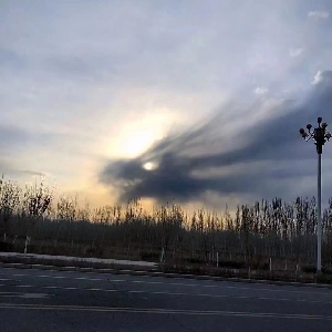 代码代写-程序代写 