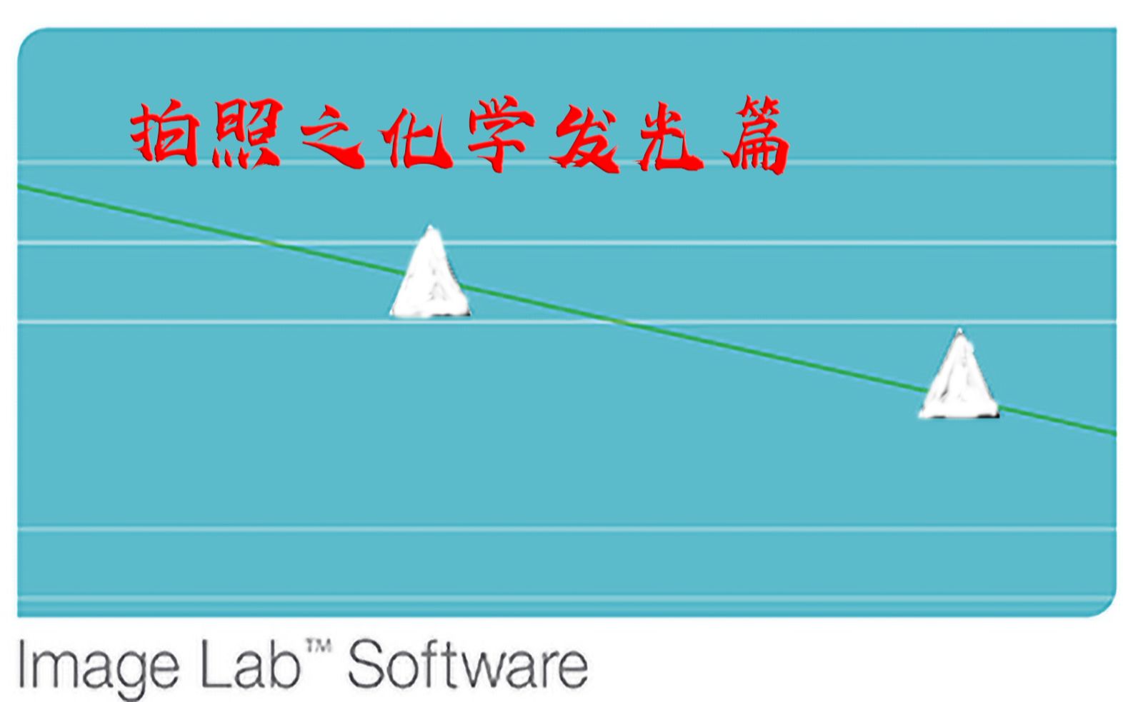 【分子生物学】imagelab拍照之化学发光篇