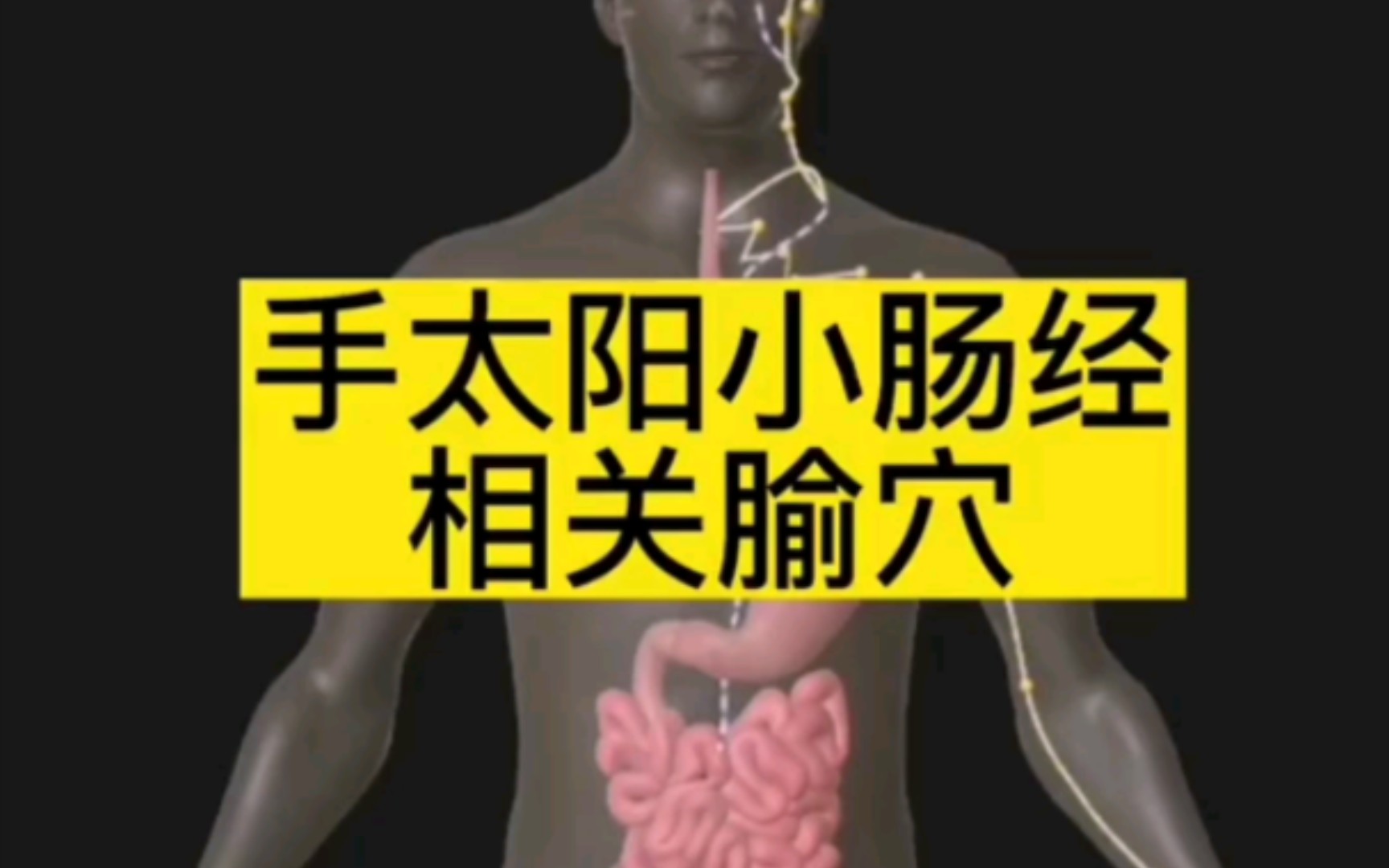 手太阳小肠经相关腧穴