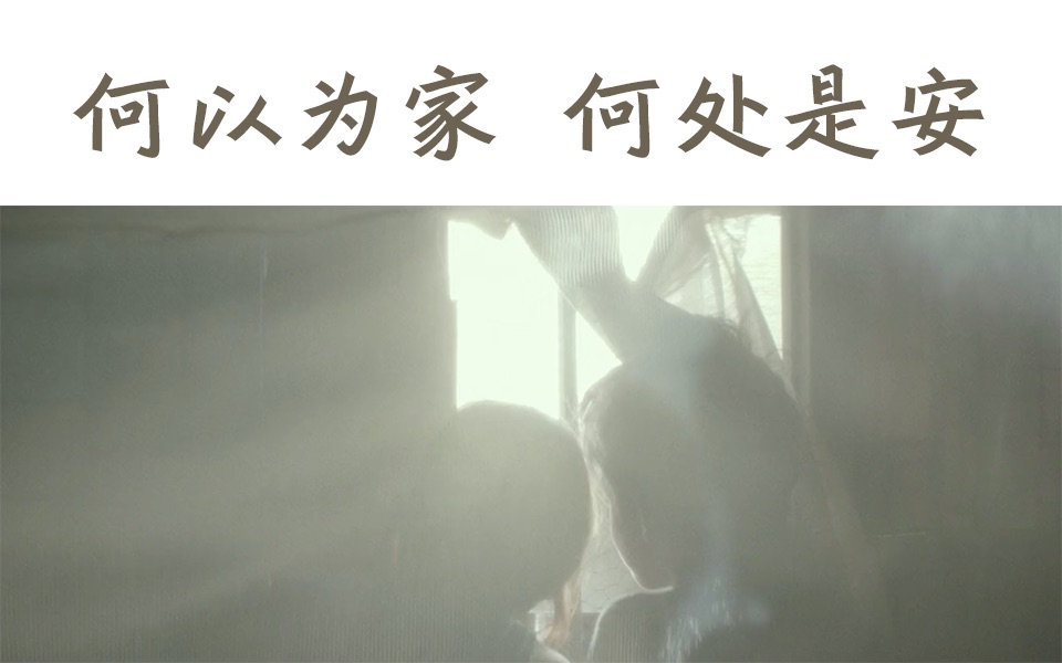 致茶花烟 || 何以为家之这个12岁的男生,为什么能赢得观众的眼泪?