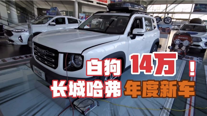白色大狗14万,长城哈弗2020年度新车,你喜欢吗?