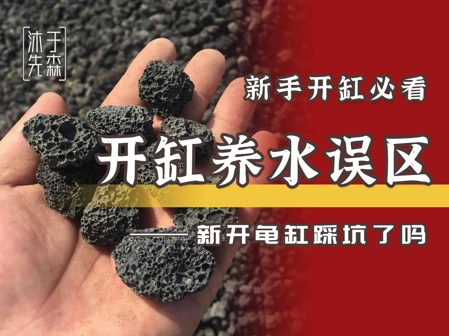 火山石龟缸如何养水培养硝化细菌