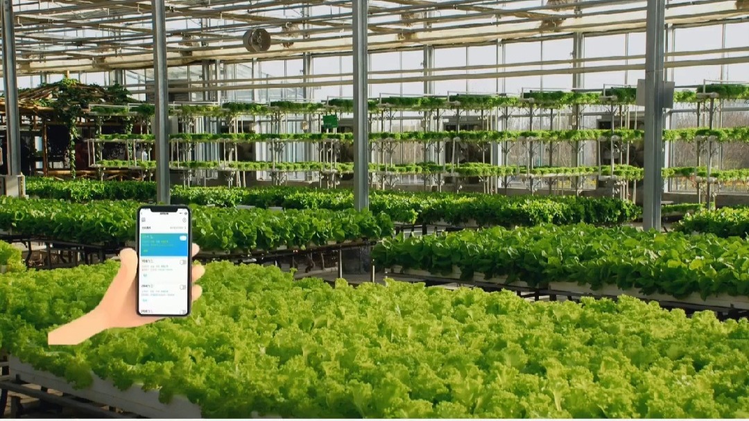 认养农业竟藏着让乡村活力四射的秘诀?chiyanmary 提供运营方案和...