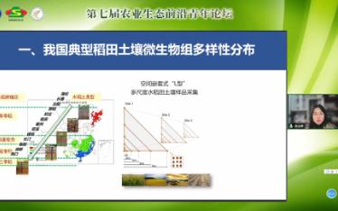 稻田温室气体排放的潜在微生物组-第七届农业生态前沿