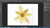 ps零基础学习 ps制作名片 ps操作