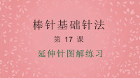 新手入门课程,零基础学习棒针基础针法,跟随图解练习一下吧! (17)