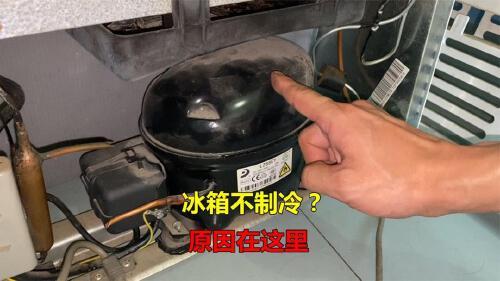 冰箱不制冷?原因很简单,师傅教你怎么检查和维修