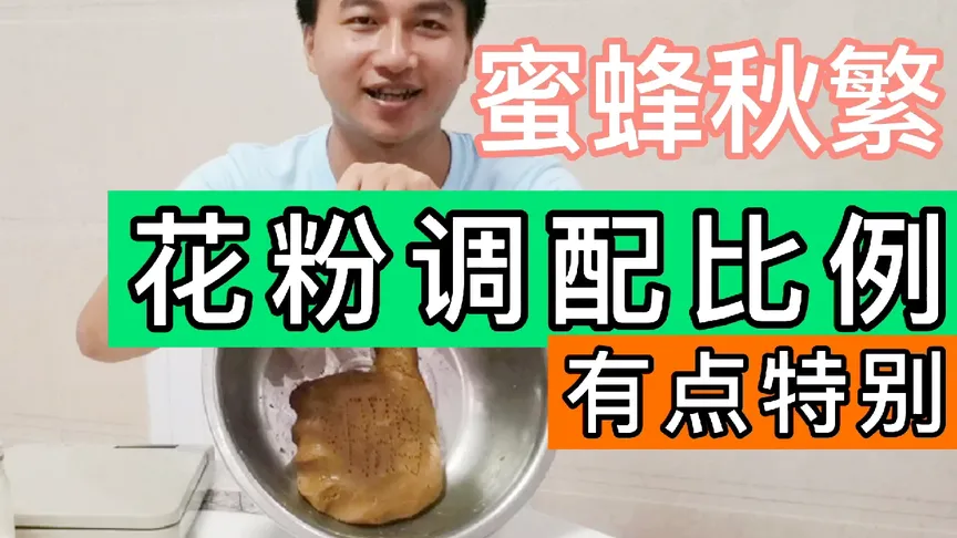 秋繁花粉如何调制配方比例怎么发酵花粉浆喂给蜜蜂吃新好方法教学