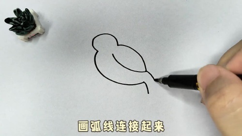 画眉怎样画简单?画眉鸟简笔画的画法