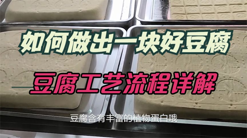 豆腐工艺流程介绍,如何做出好豆腐?