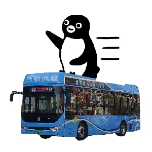 bus-richard 
